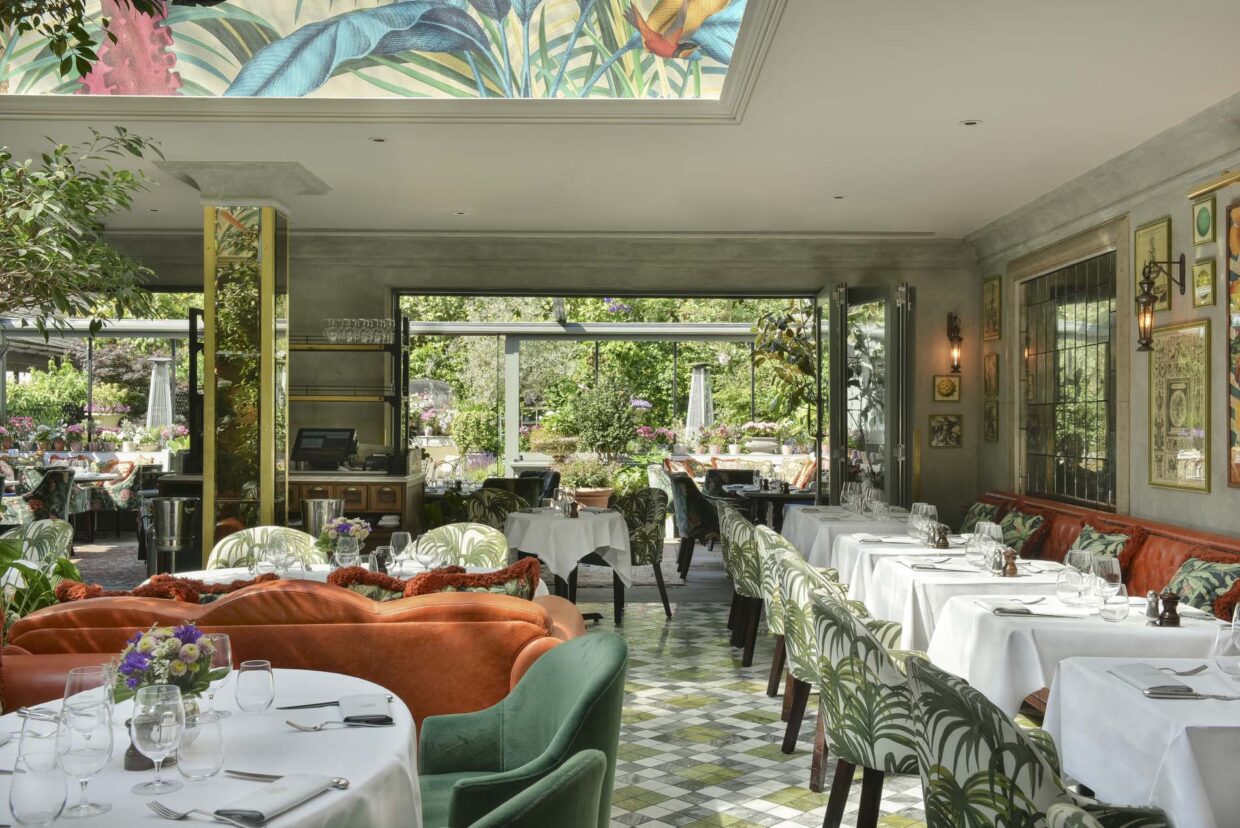 The Ivy Marlow Garden - The Ivy Collection